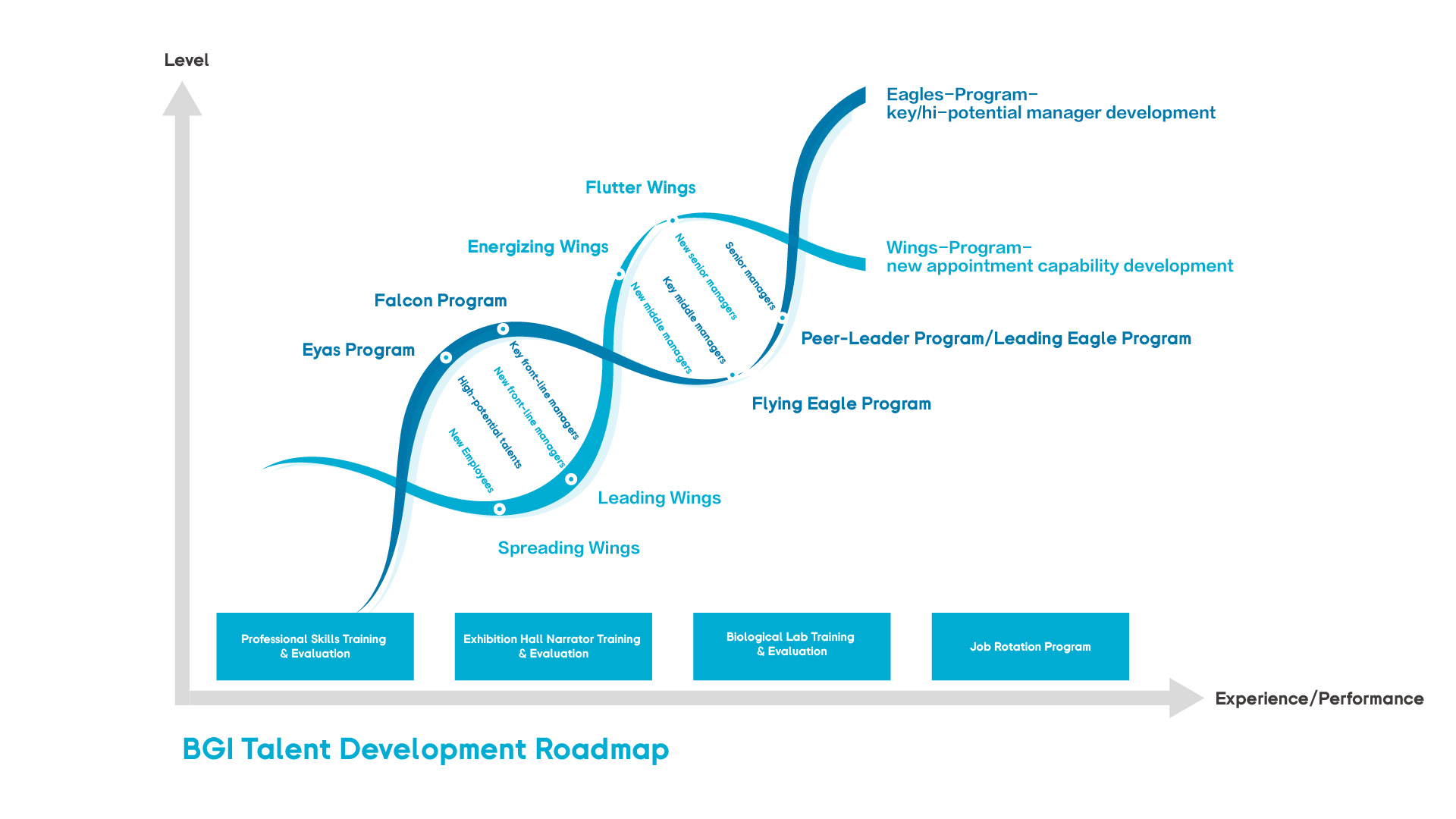 BGI Group Official Website